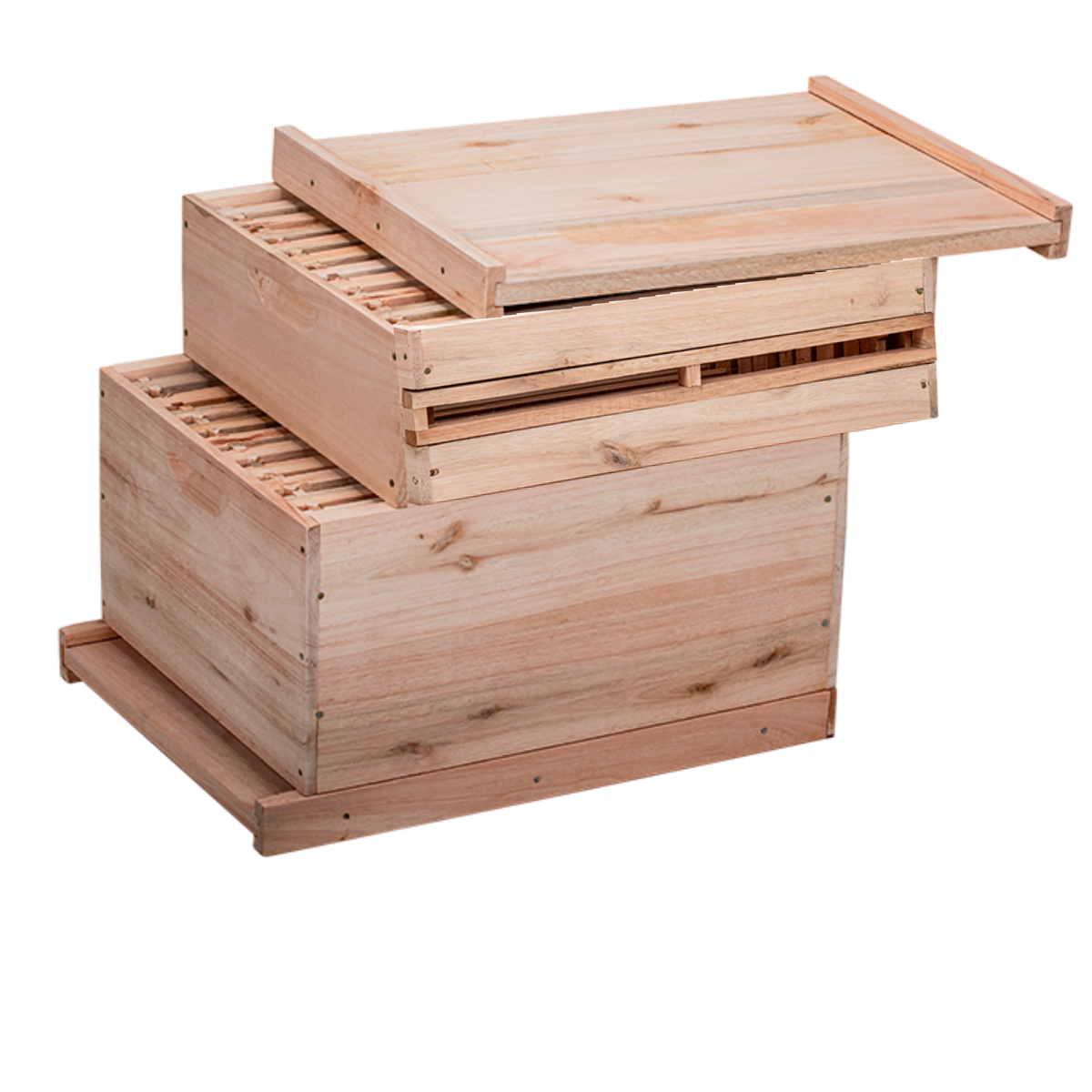 Caixa Colmeia Abelha Coletor de Propolis Apis Completa - Agrobees