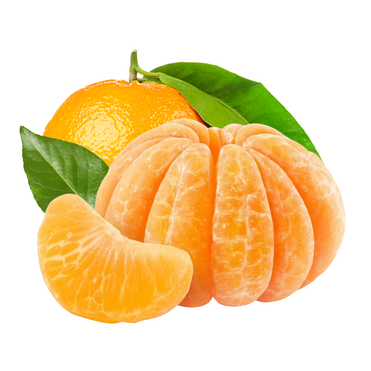 Kit 06 Mudas de Tangerina Para Produzir o Ano Inteiro - AgroJardim