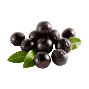 Muda Frutífera de Açaí - AgroJardim