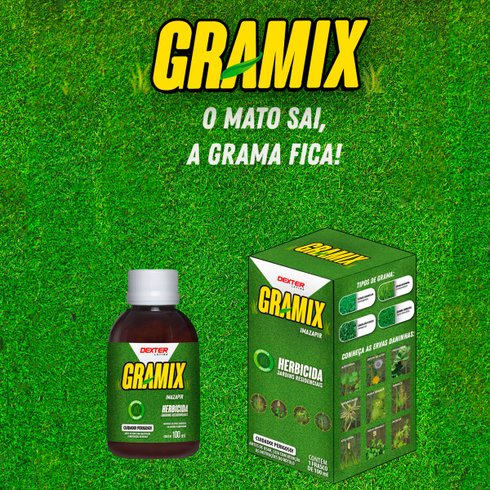 Herbicida Seletivo Gramix Dexter Latina 100 ml