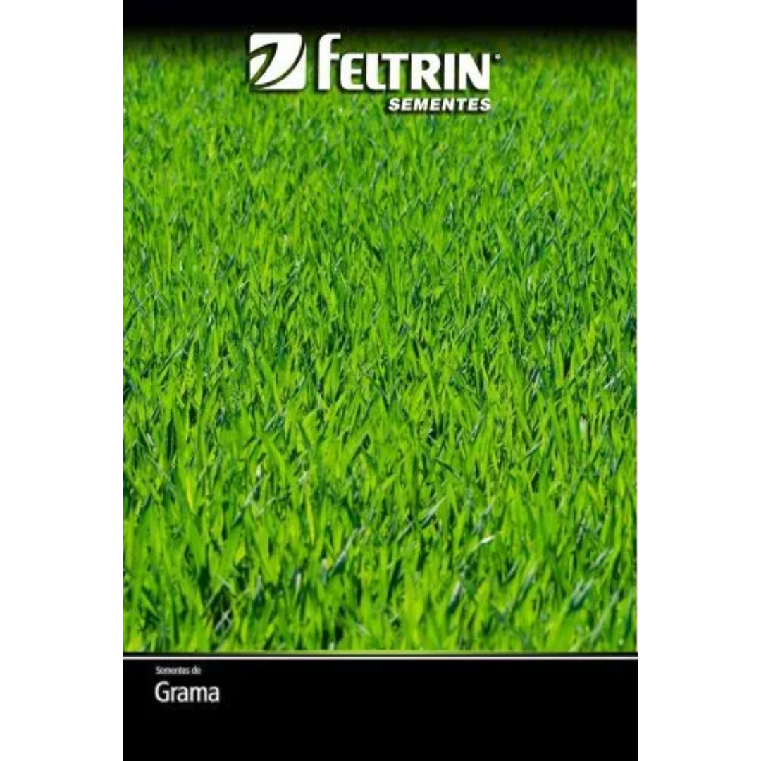 Semente de Grama Jesuita São Carlos para Jardim Feltrin 7 g