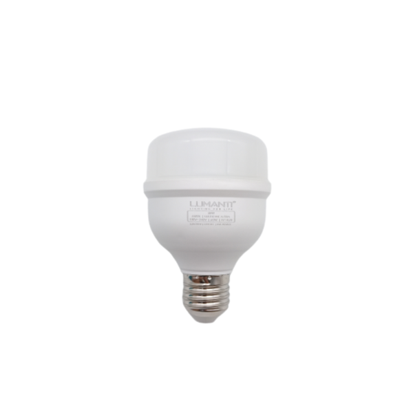 Lâmpada Led Bulbo Autovolt 20W (Caixa Verde)
