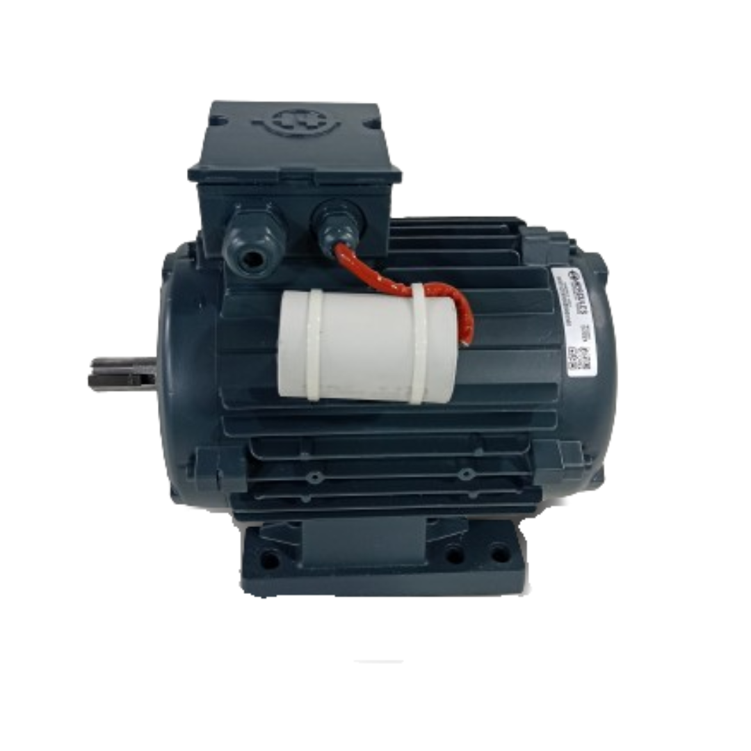 Motor Eletrico 90 4P 1,5CV 2V 60 1F 55 B3T-S (Ventilador)