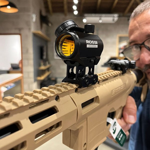 Red Dot M6 Mount 7/8 Rossi