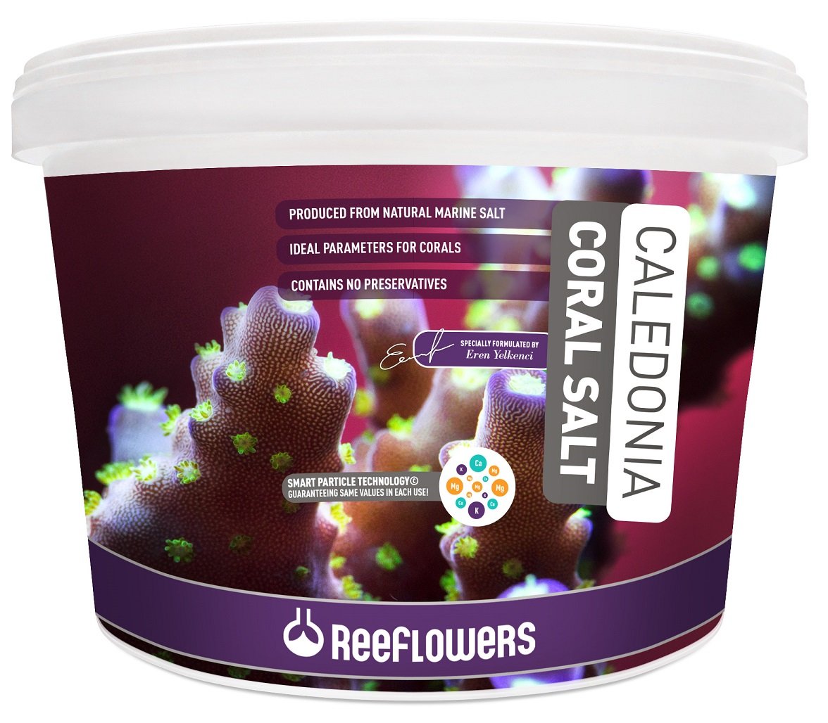 Sal Marinho Natural Caledonia Coral Salt - Reeflowers