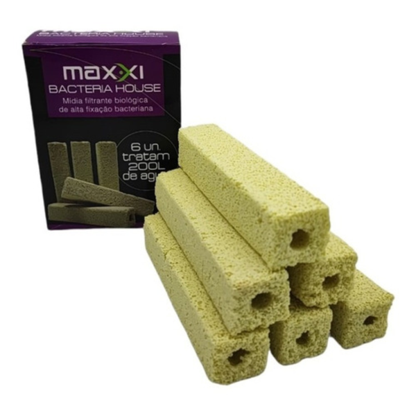 Maxxi Bacteria House Quadrada - 06 Unidades
