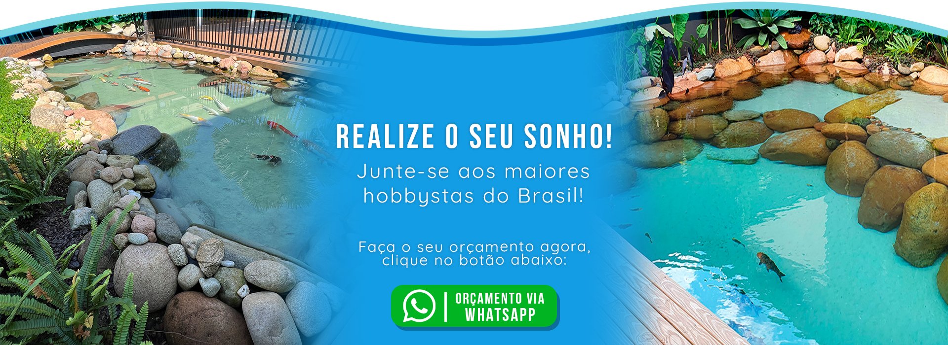 Landing Page - Aquarista Amador