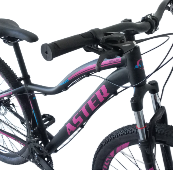 Bicicleta aro 29 Aster Stelar 21v