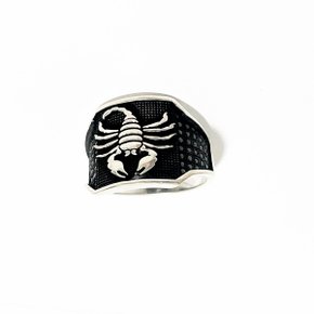 Anel em Prata 925 Escorpião Brilhoso: Elegância e Estilo para Homens ...