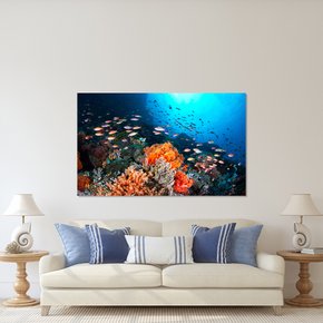 Tela Decorativa Grande Fundo do Mar - 60cm x 90cm
