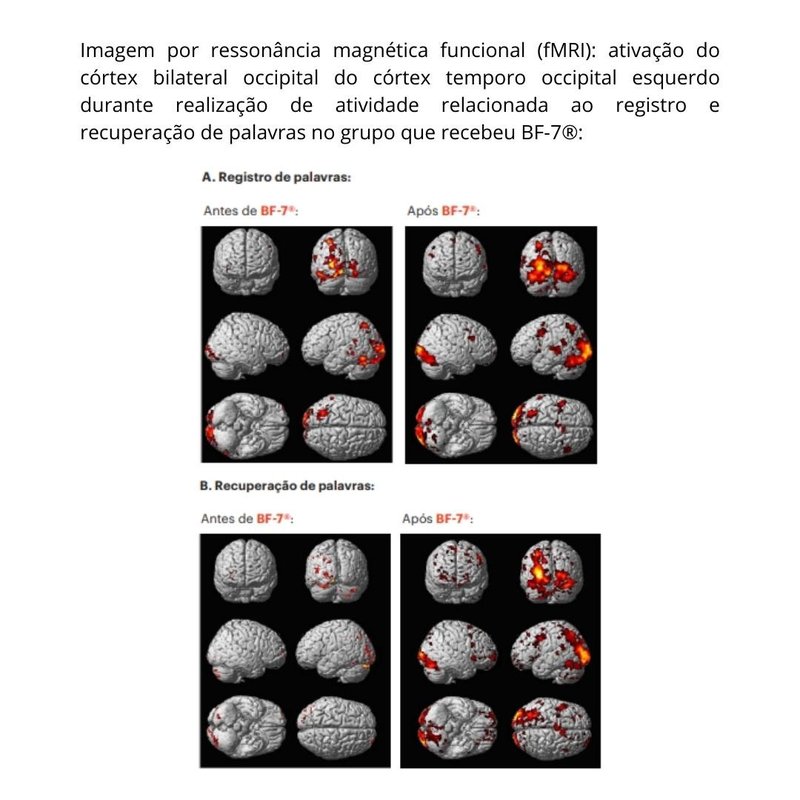 Brain Factor 7 - 200 mg (CÁPSULA DA INTELIGÊNCIA)