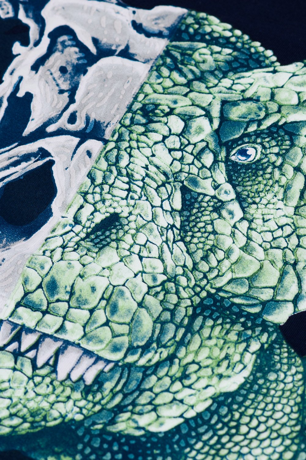 Conjunto Longo Infantil Menino T-Rex Brandili