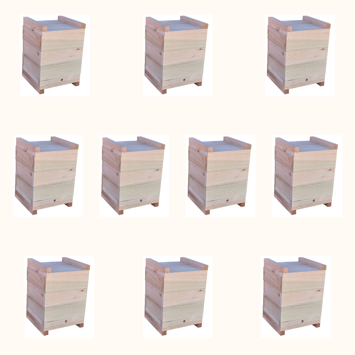 10 Caixas INPA Abelhas Sem Ferrão Eucalipto 15x15