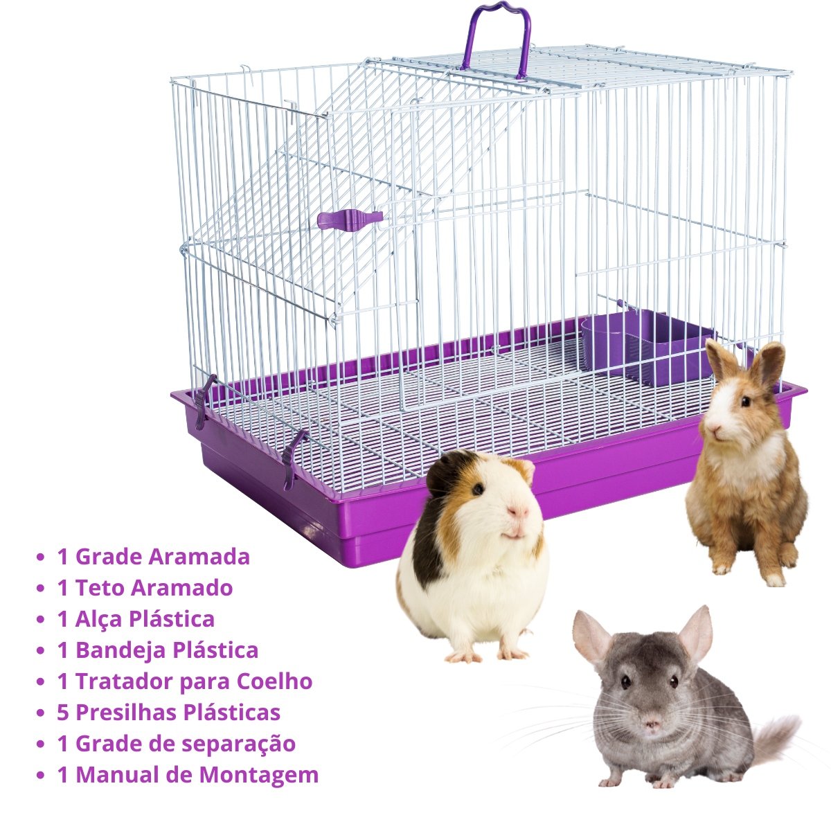 Gaiola Para Coelho Porquinho da Índia e Chinchila Lilas
