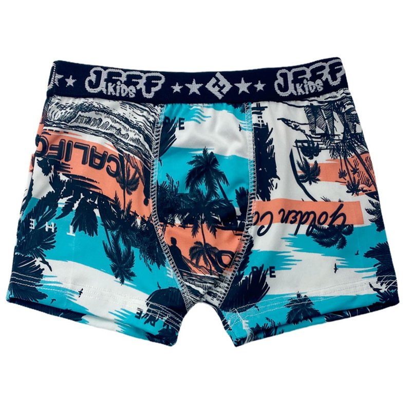 Cueca Boxer Infantil Menino Califórnia Azul