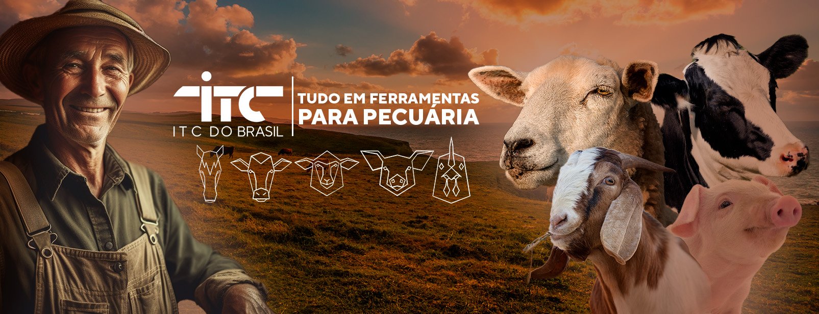 ITC Do Brasil - Produtos Agrícolas e Pecuários de Alta Qualidade para ...