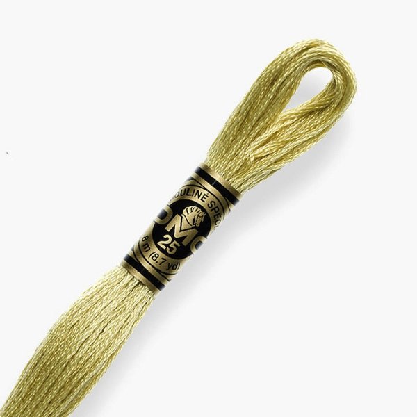 Tons de Dourado DMC Dourado 3046