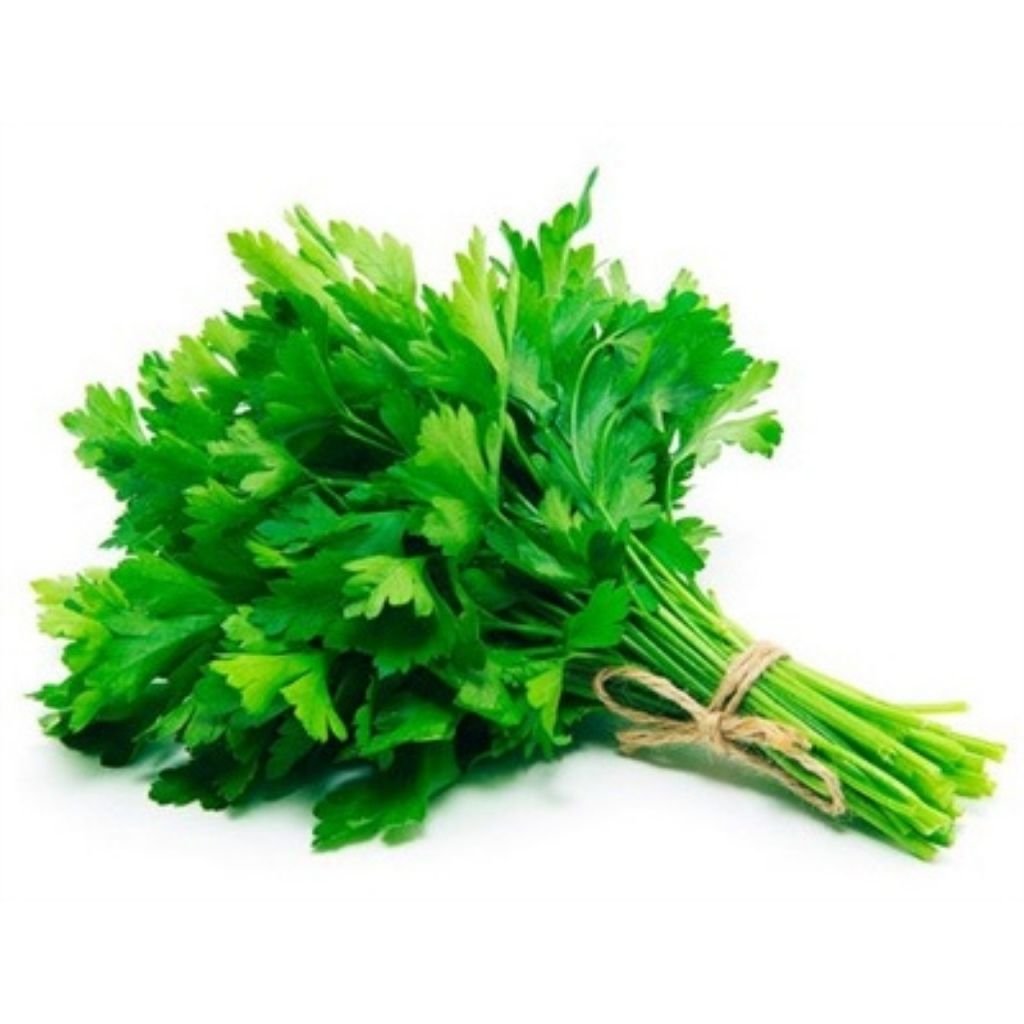 Sementes de Salsa Lisa
