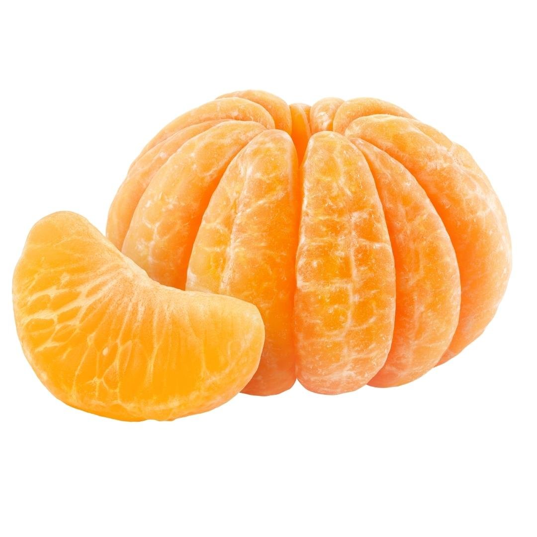 Muda de Tangerina Mexerica do Rio Enxertada