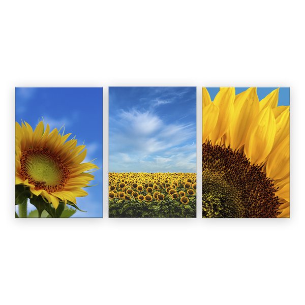 Quadro Decorativo 3 Telas Girassol