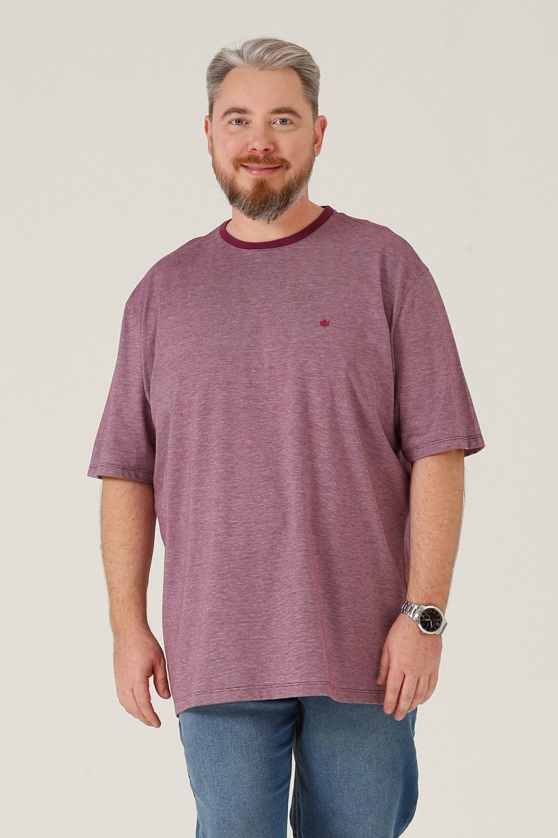 Camiseta Masculina Plus Size em Malha Listrada Roxa