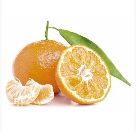 Muda de Mexerica do Rio - Enxertada -Sítio Exótico