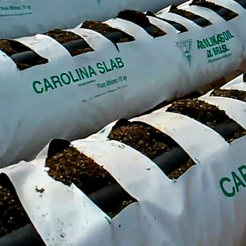 Substrato Carolina Soil Slab 8kg 120cm x 22cm - Sitio Exótico