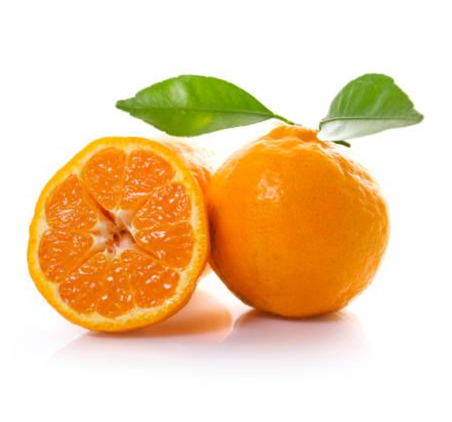 Muda Tangerina Ponkan enxertada - Sitio Exótico