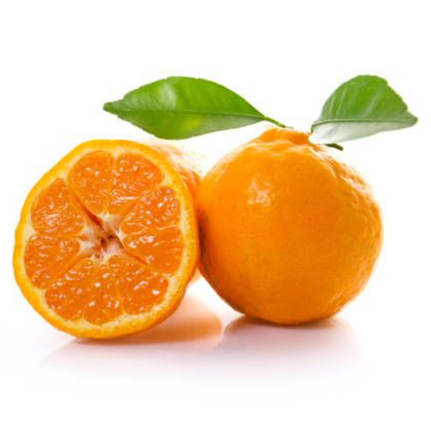 Muda Tangerina Ponkan enxertada - Sitio Exótico