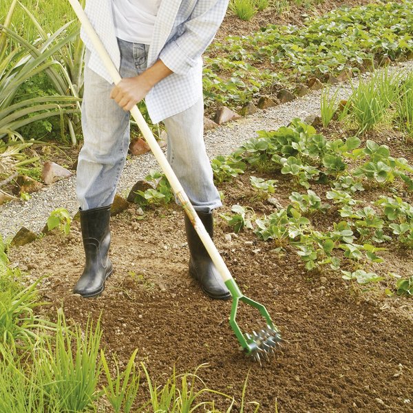 Cultivador Rotativo FJ-1016 - Trapp