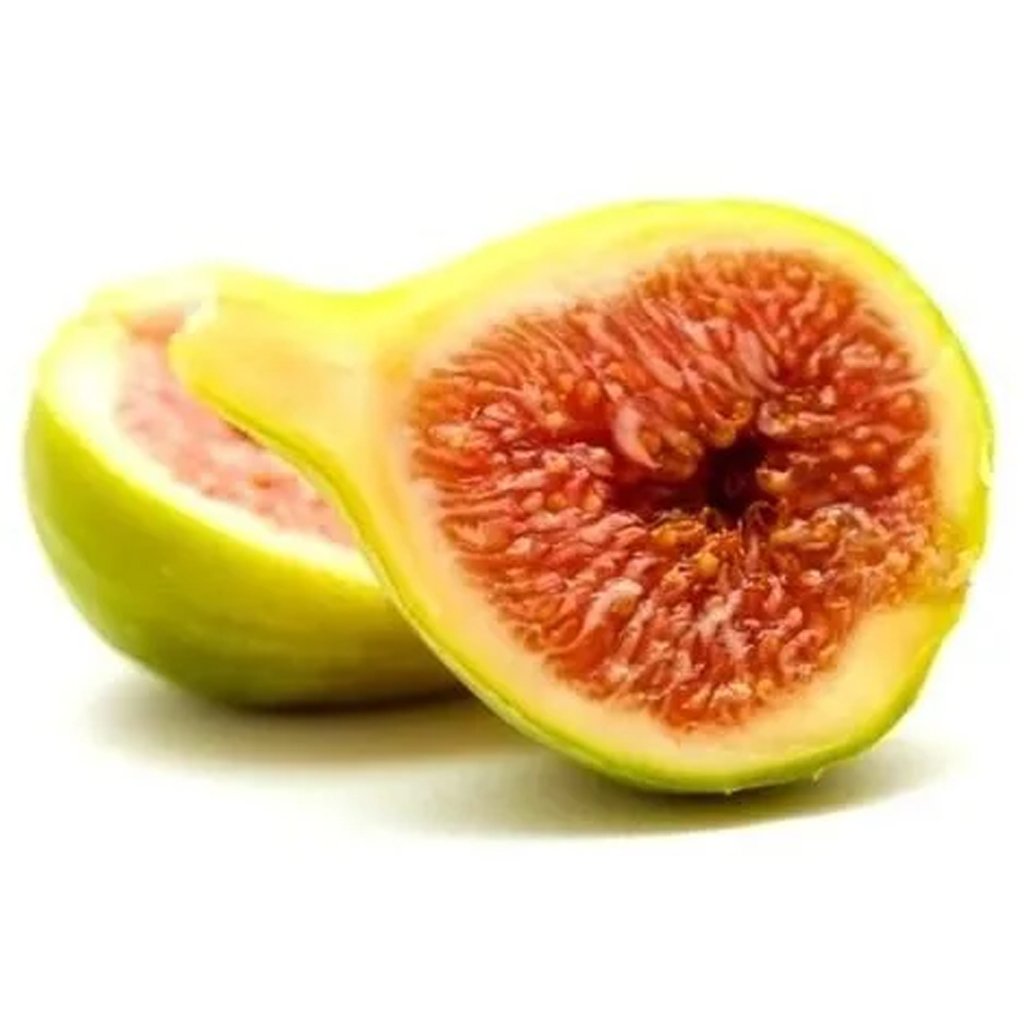 Muda de Figo Branco - Produzindo frutos