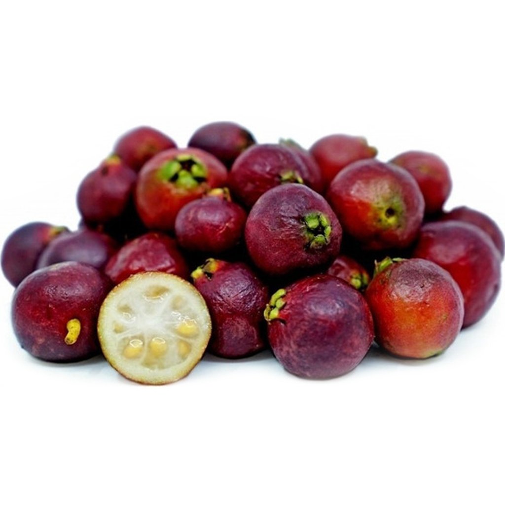 Muda Araçá Vermelho - Produzindo Frutos