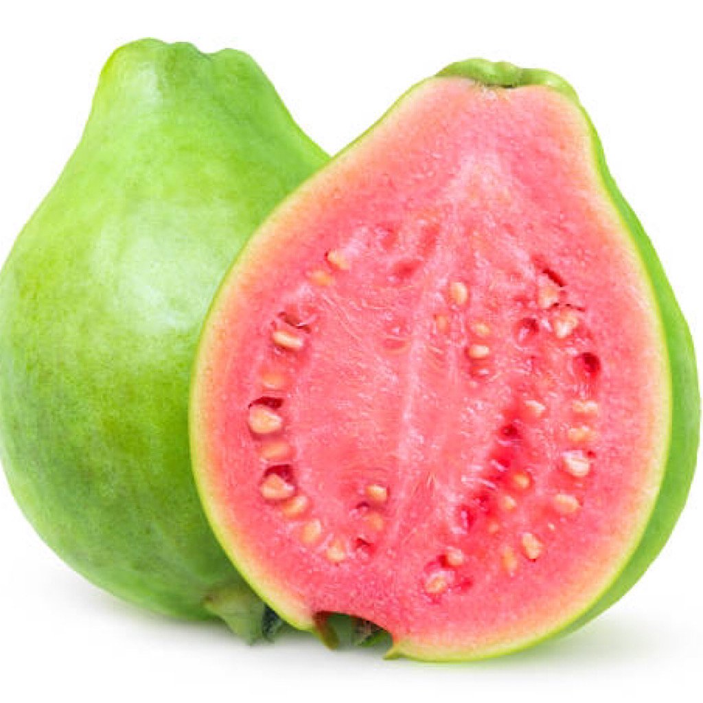 Muda Goiaba Paluma Vermelha - Vaso&Flor