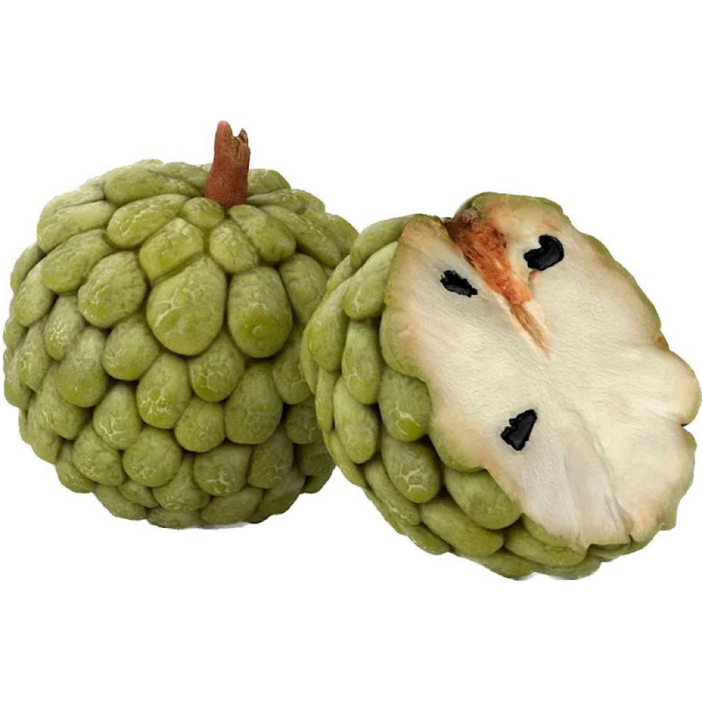 Muda de Anona com 90 cm